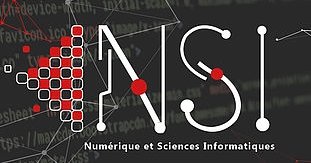 Pourquoi choisir la spécialité NSI ? Sur le... | Orientation et métiers ...